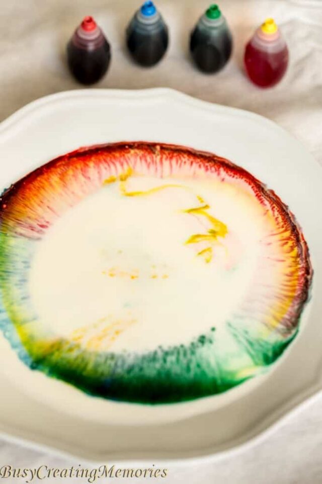 Color Changing Milk Science Fair Project Idea