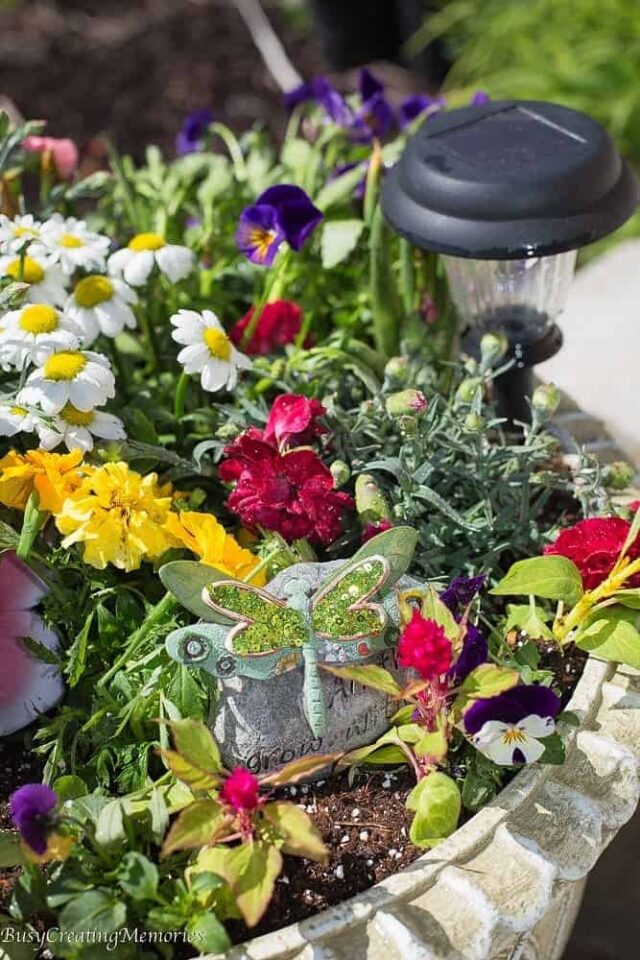 Always Blooming Flower Garden Ideas for beautiful blossoms all year long