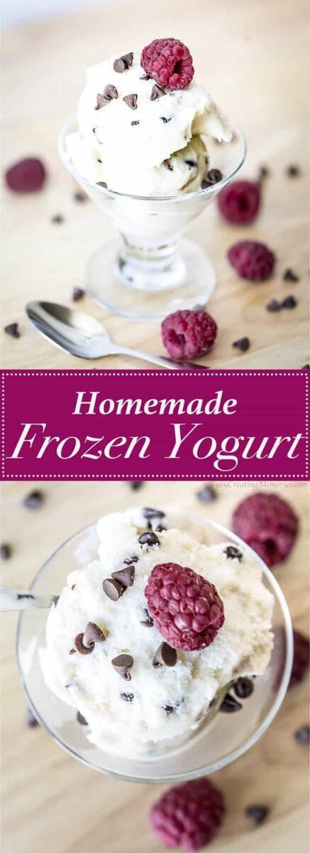 Homemade Frozen Yogurt Recipe - a simple 2 ingredient dessert