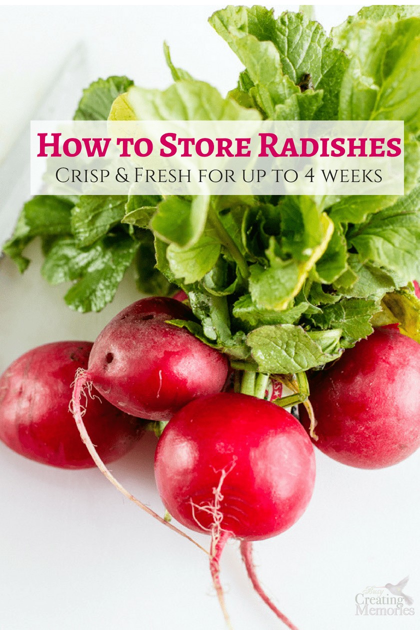 How to Store Radishes to keep them fresh and crisp