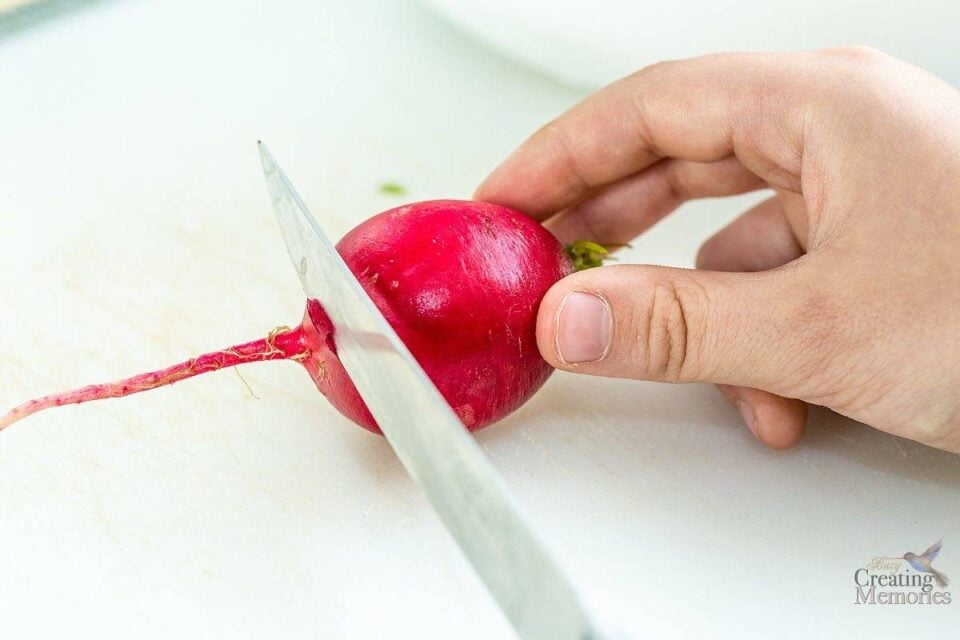 How to Store Radishes to keep them fresh and crisp