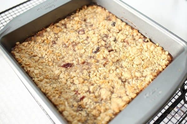 Fruit Filled Breakfast Cereal Bars Recipe for an easy Morning on the go