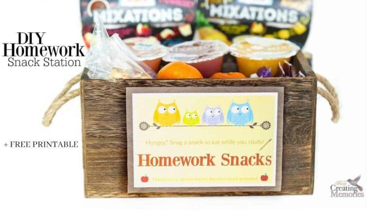 The NEW Game of Life by Hasbro With Instructions for life the game