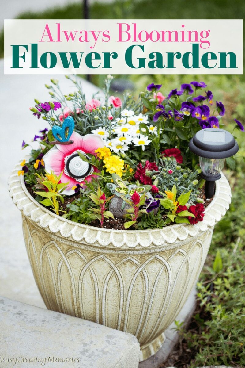 Always Blooming Flower Garden Ideas for beautiful blossoms all year long