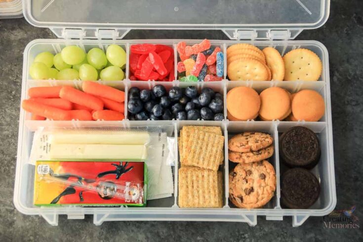 The best Easy Snacks for Kids Travel Kit to Make Your Next Road Trip a ...