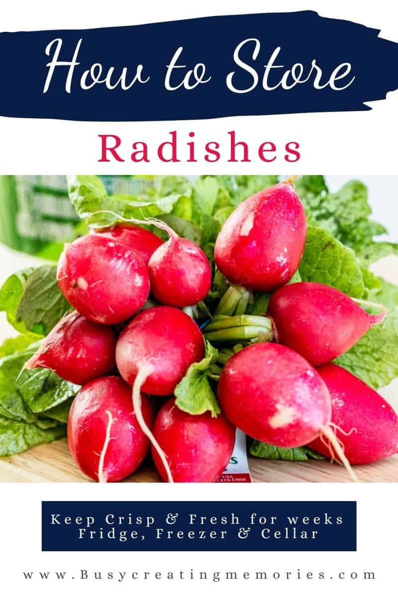 How to Store Radishes to keep them fresh and crisp