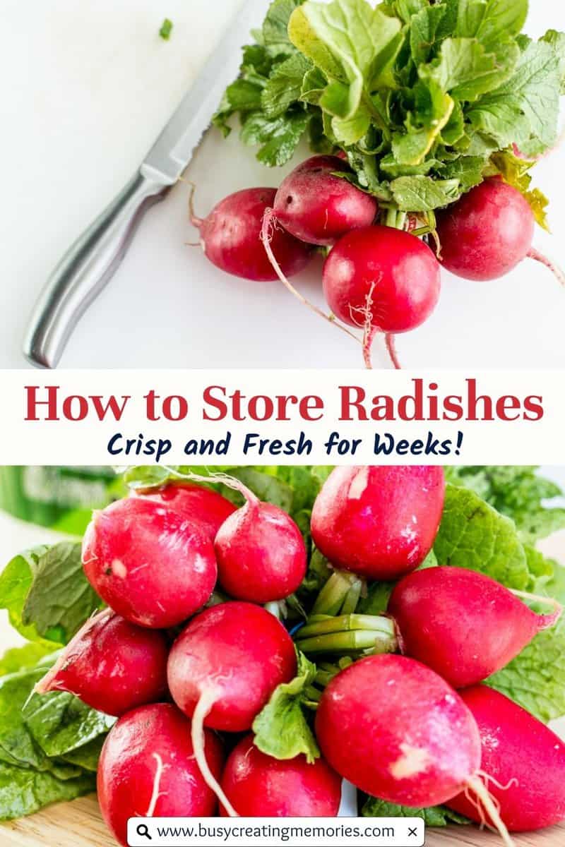 How to Store Radishes to keep them fresh and crisp