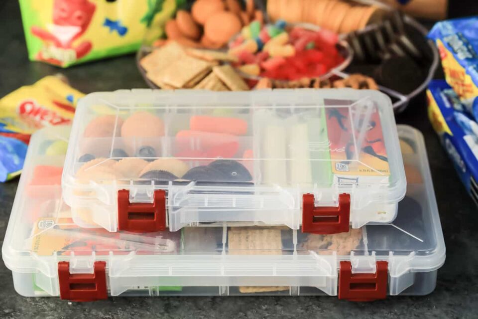 Snackle Box Ideas: The Best Travel Snack box for kids & adults