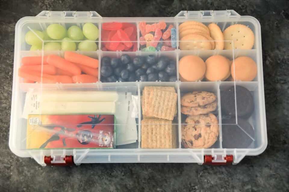 Snackle Box Ideas: The Best Travel Snack box for kids & adults