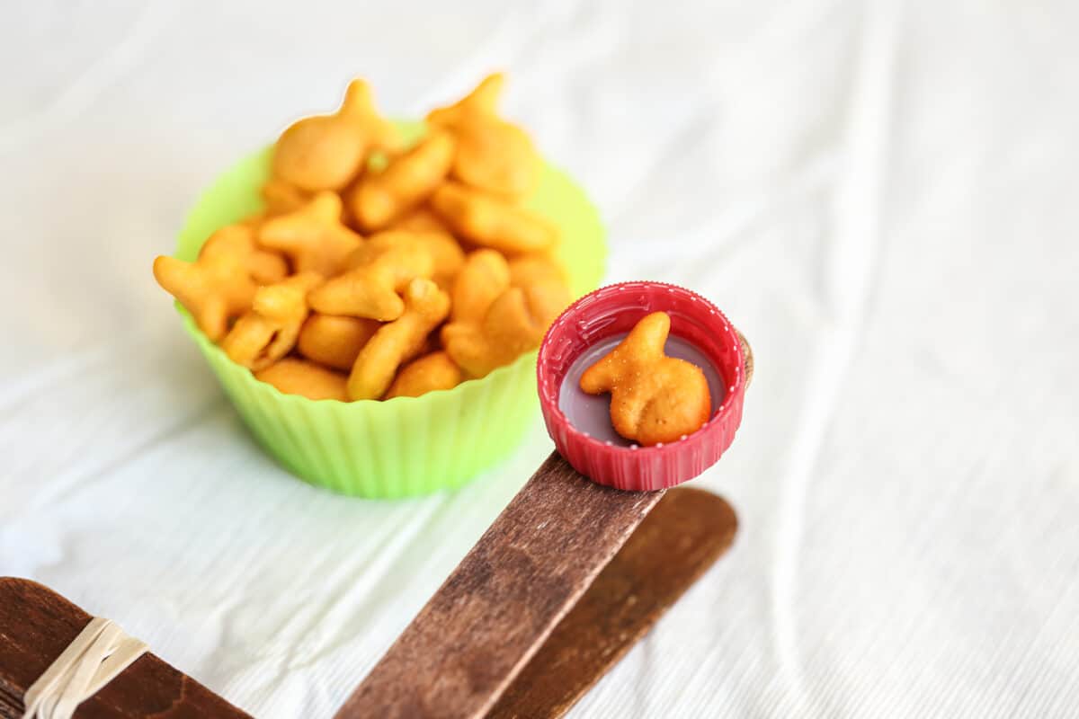 Popsicle Stick Catapult Mini football Game Craft